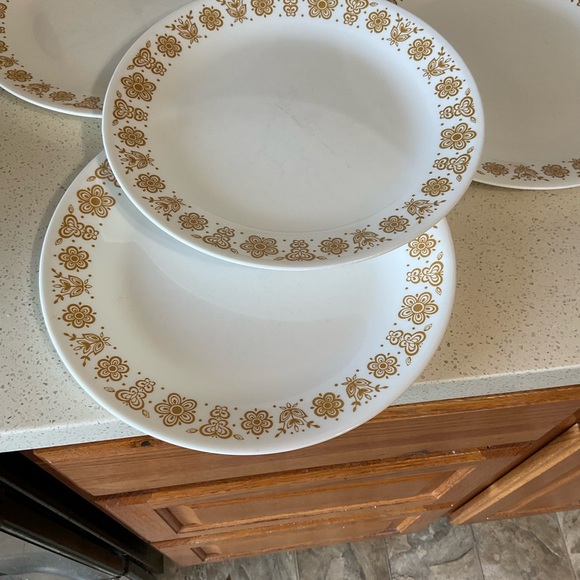 Corelle | Dining | Corelle White Plates With Gold Floral Design | Poshmark